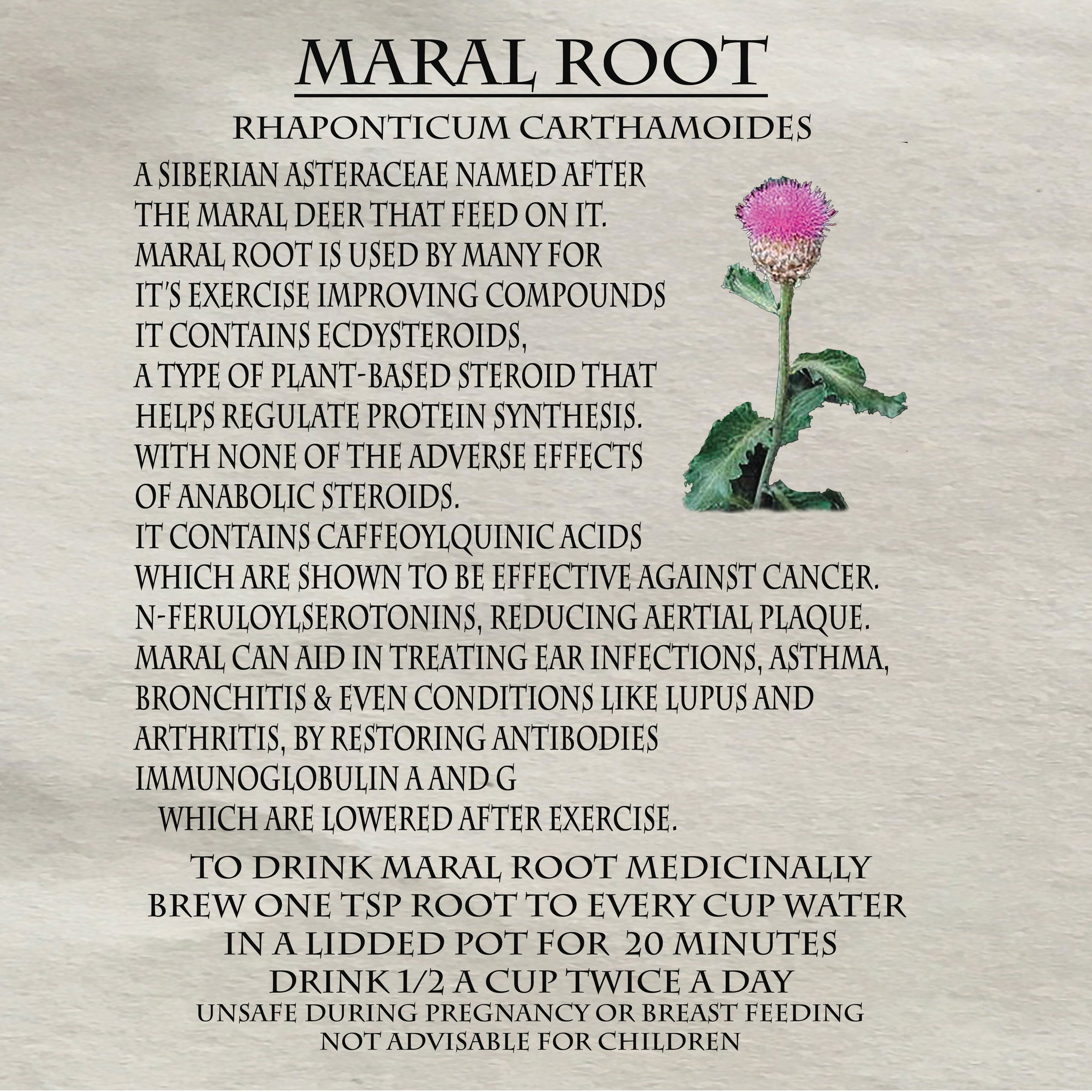 Maral Root, Herbal Tea | Astoria Tea Company